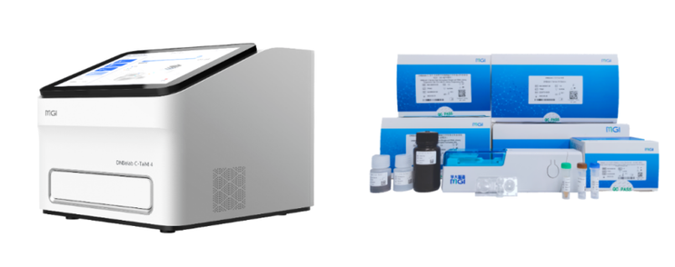 稳定、高效：DNBelab C-TaiM4单细胞转录组实测数据展示